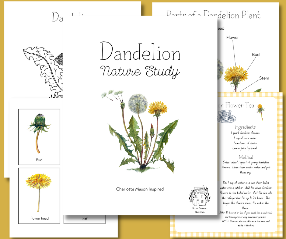 Dandelion Unit Study – Slow.Simple.Seasonal.