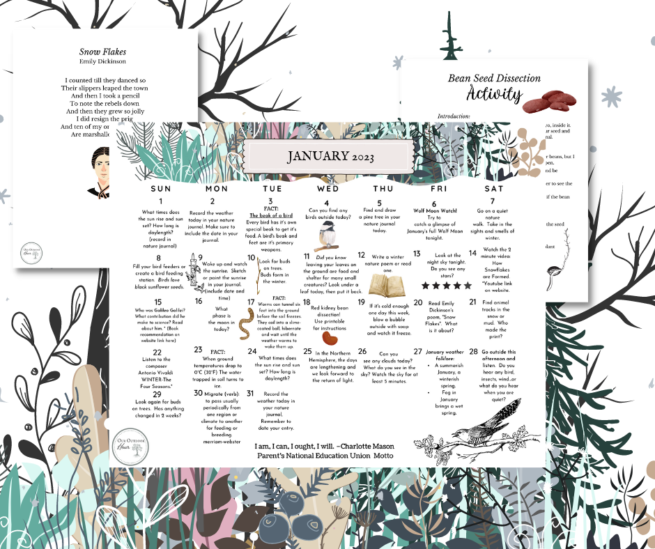 January Nature Bundle and Updates – Slow.Simple.Seasonal.