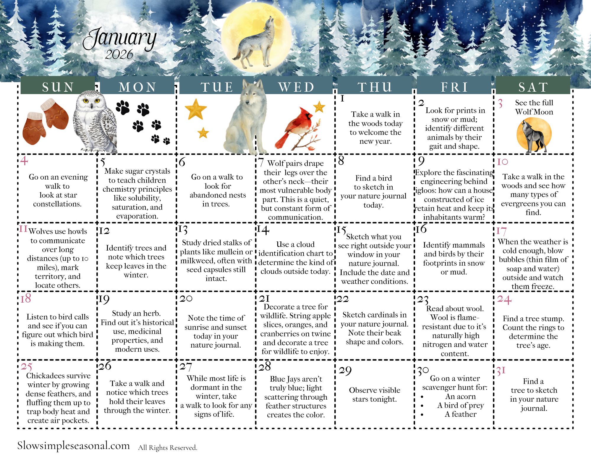 January 2026 Nature Calendar – Slow.Simple.Seasonal.