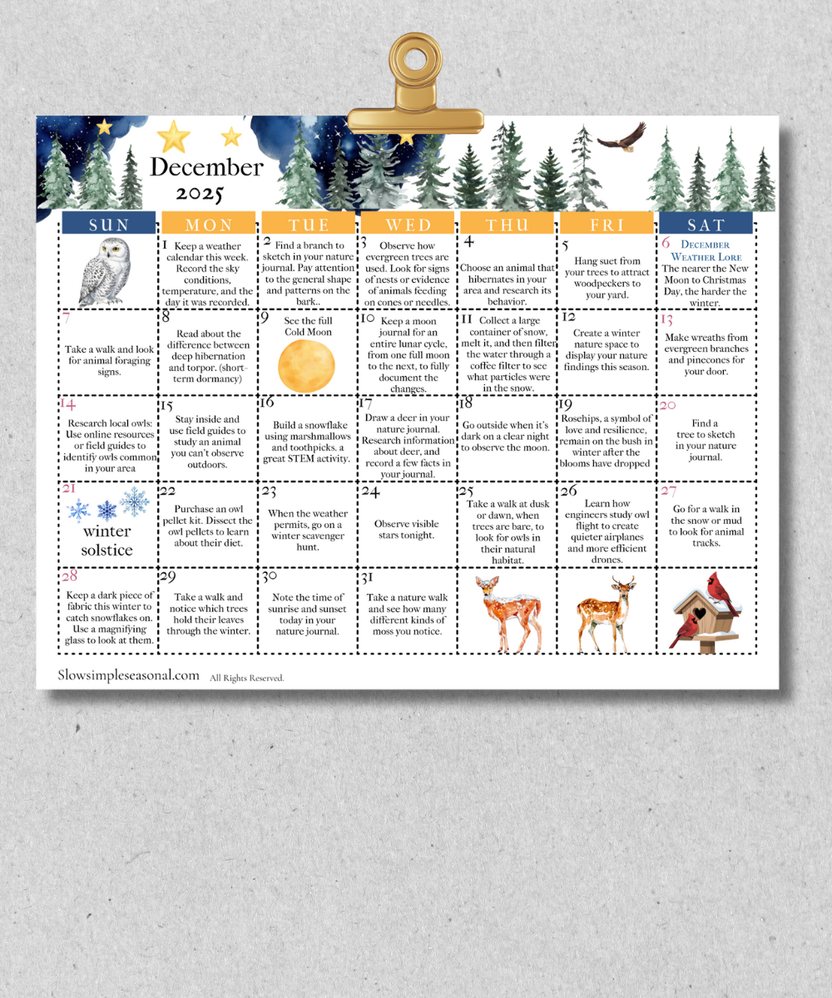 December 2025 Nature Calendar – Slow.Simple.Seasonal.