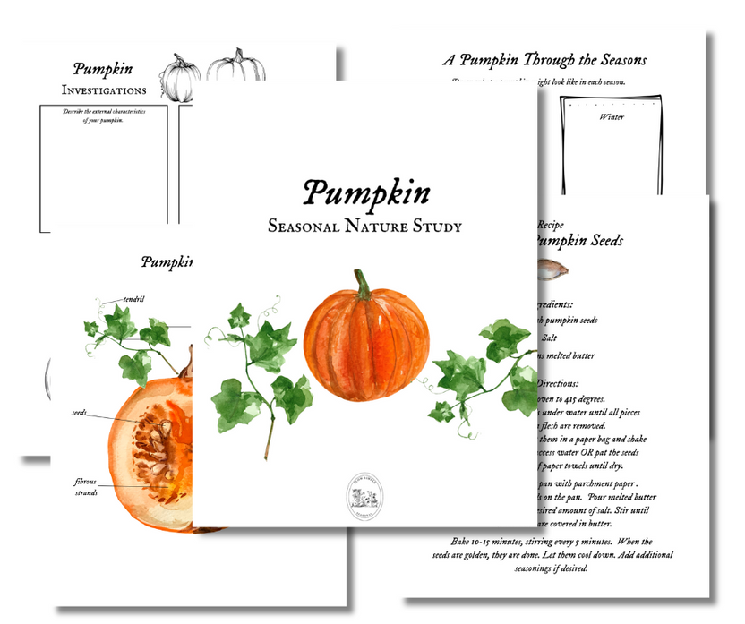 Pumpkin Nature Study – Slow.Simple.Seasonal.
