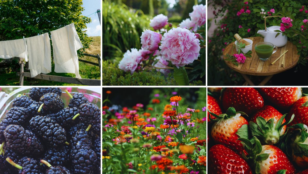 Slow.Simple.Seasonal.