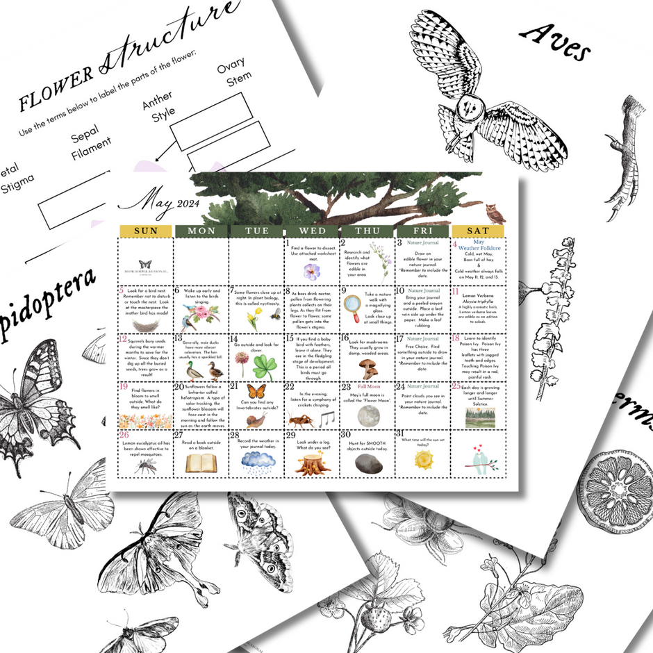 Nature Calendar – Slow.Simple.Seasonal.